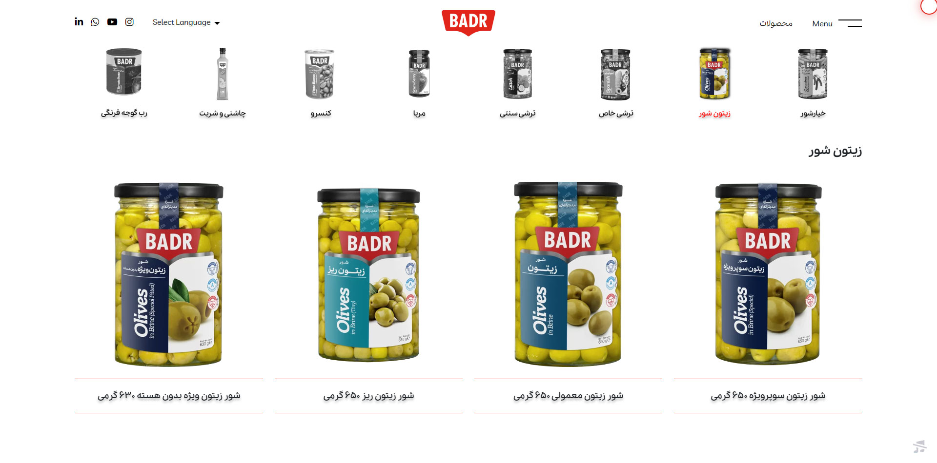 Badr Food Industrial Group