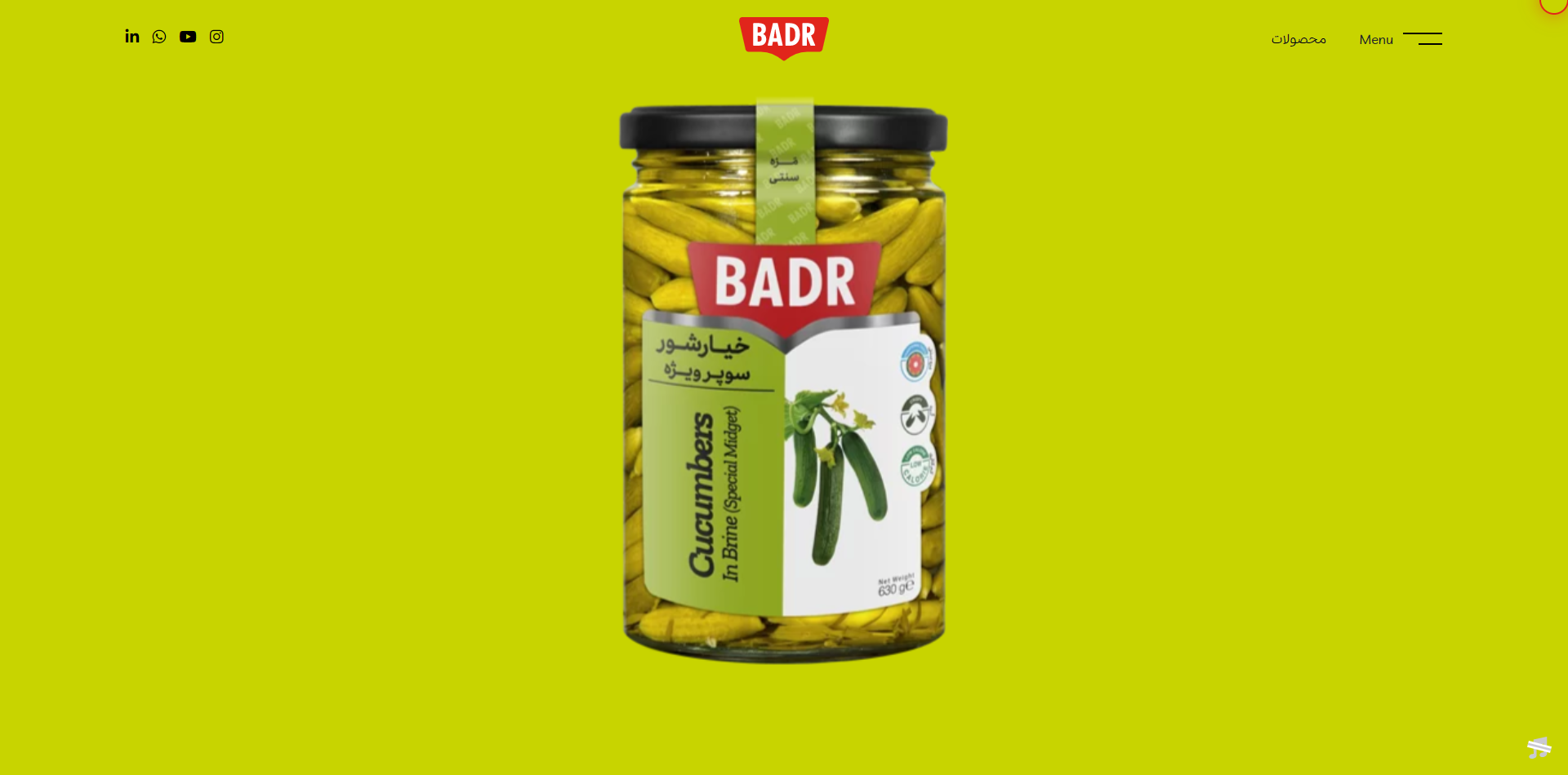 Badr Food Industrial Group