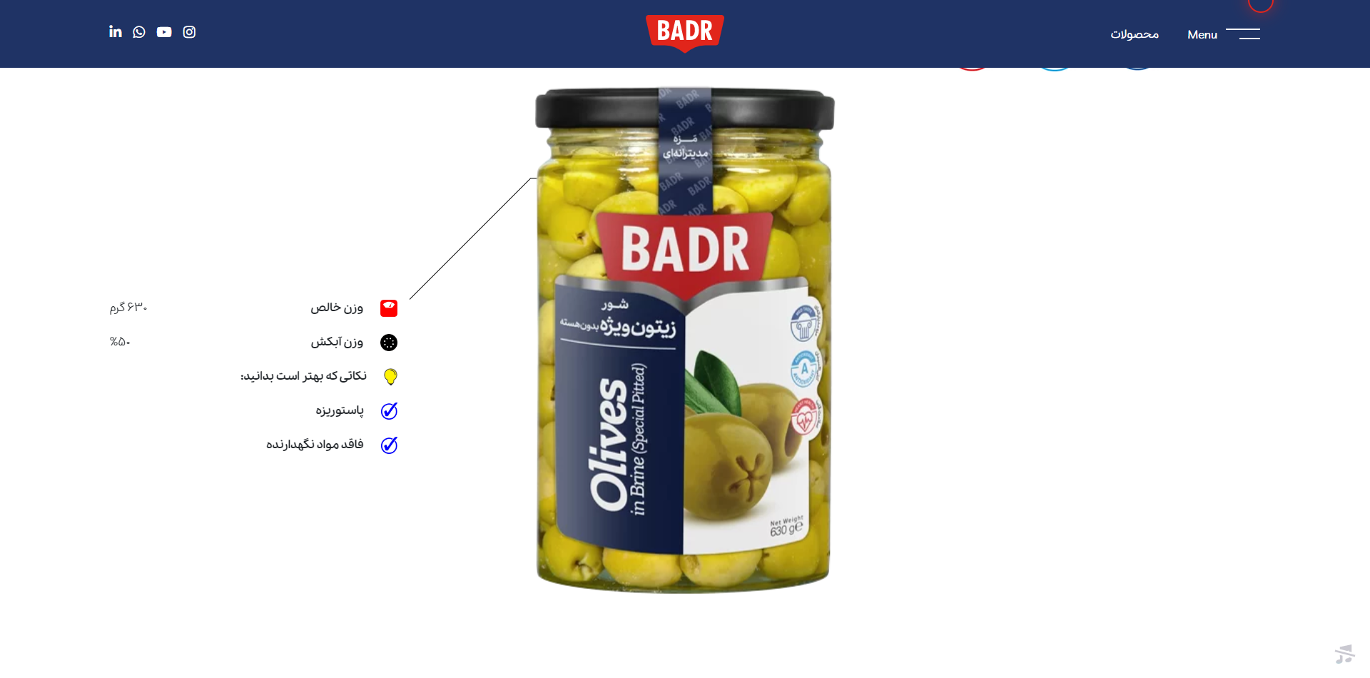 Badr Food Industrial Group